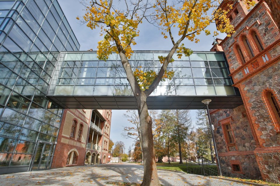 MC Fire | Scandinavia Windows